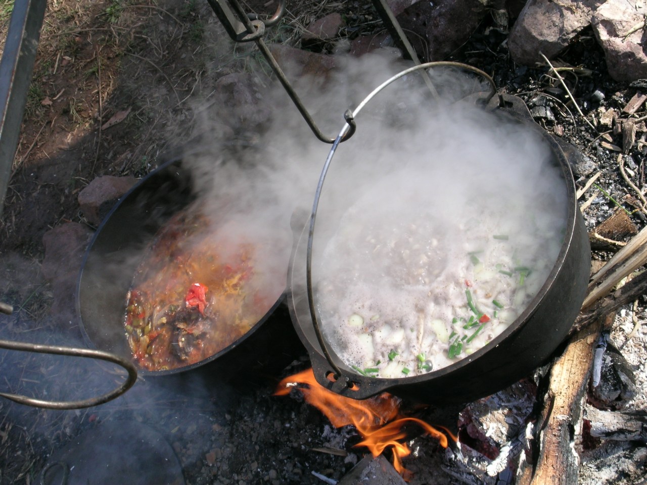 The Cooking Gene: Food and Food History – Afroculinaria